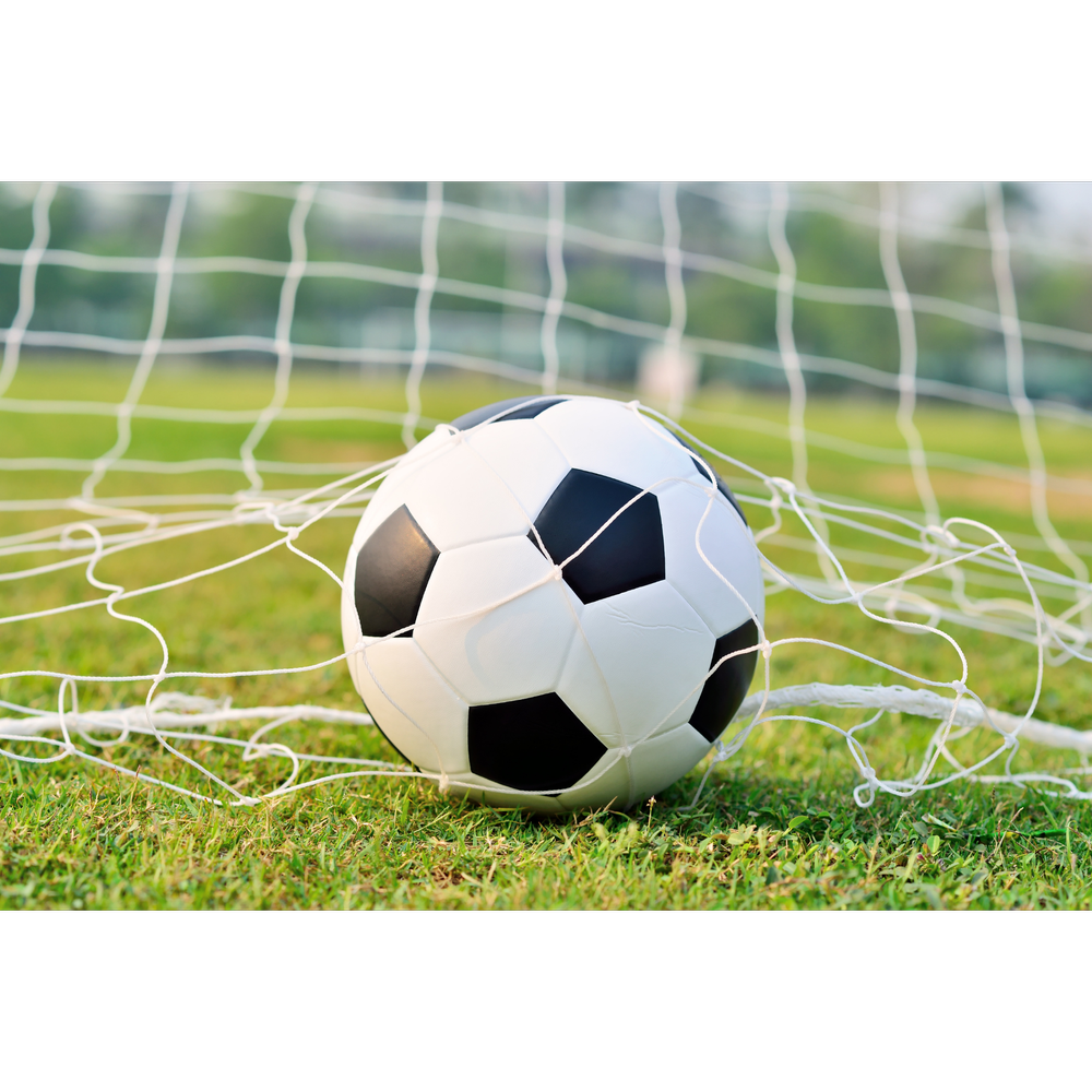 Home — AYSO UNITED NM