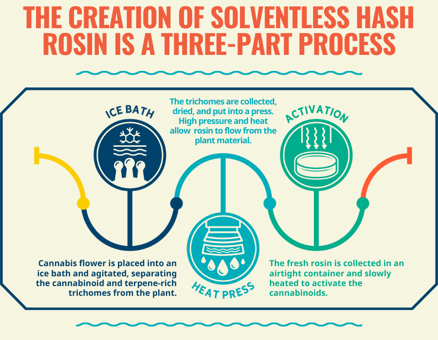 Solventless, Explained — Good Tide