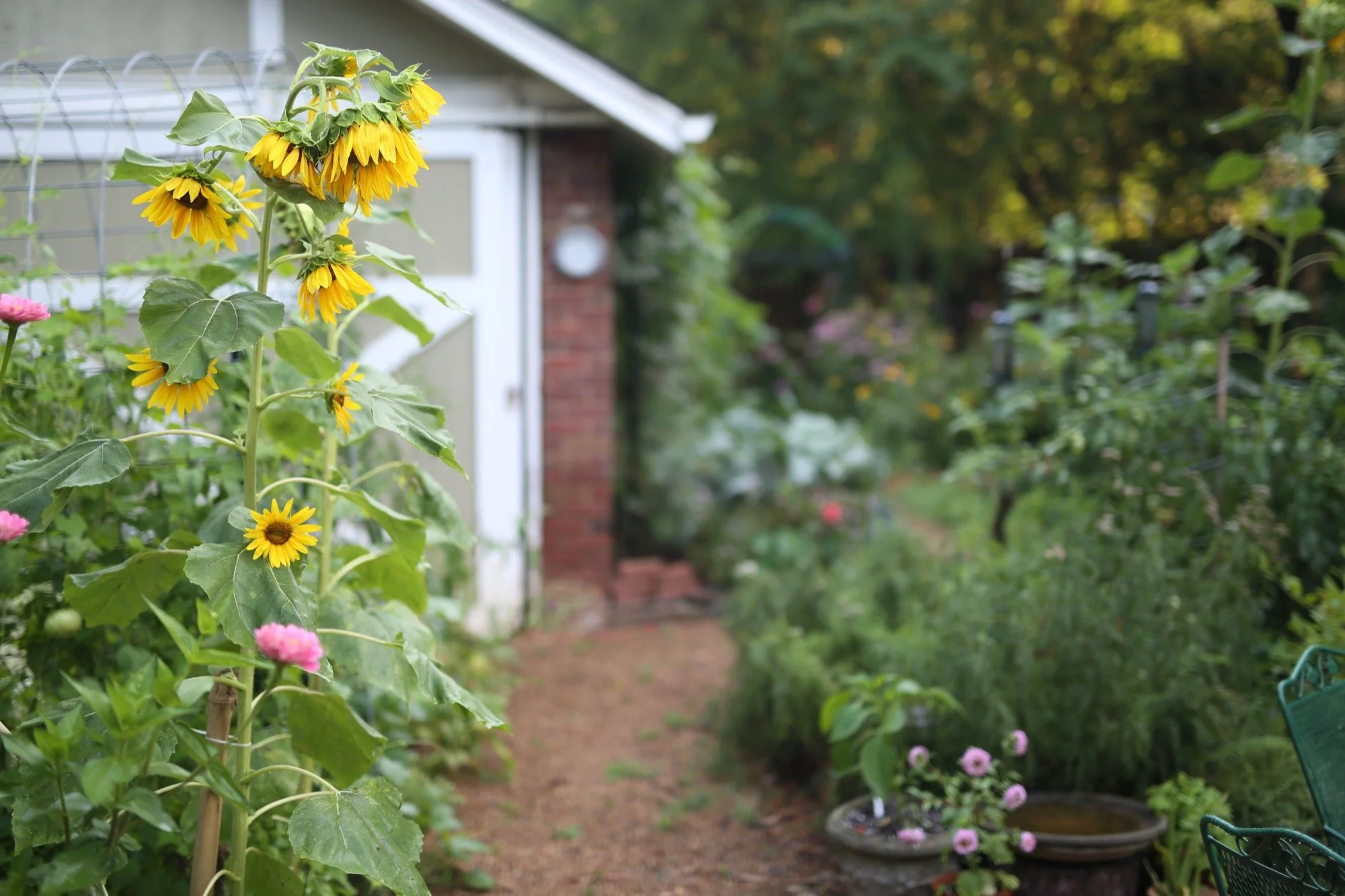 Dynamic Garden Calendar For All Zones - Easy-To-Use, Visual Google ...