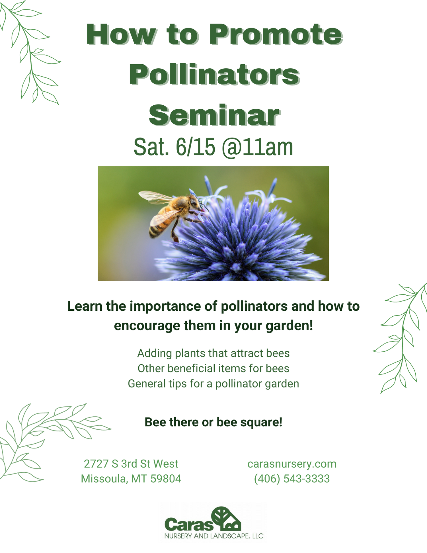 News and Events — Caras Nursery