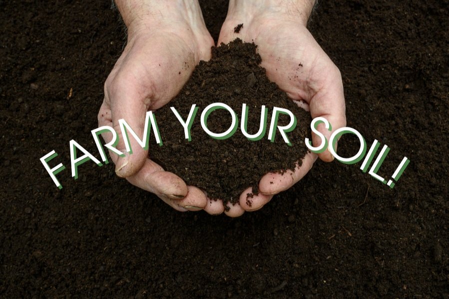 Farm Your Soil! — Caras Nursery