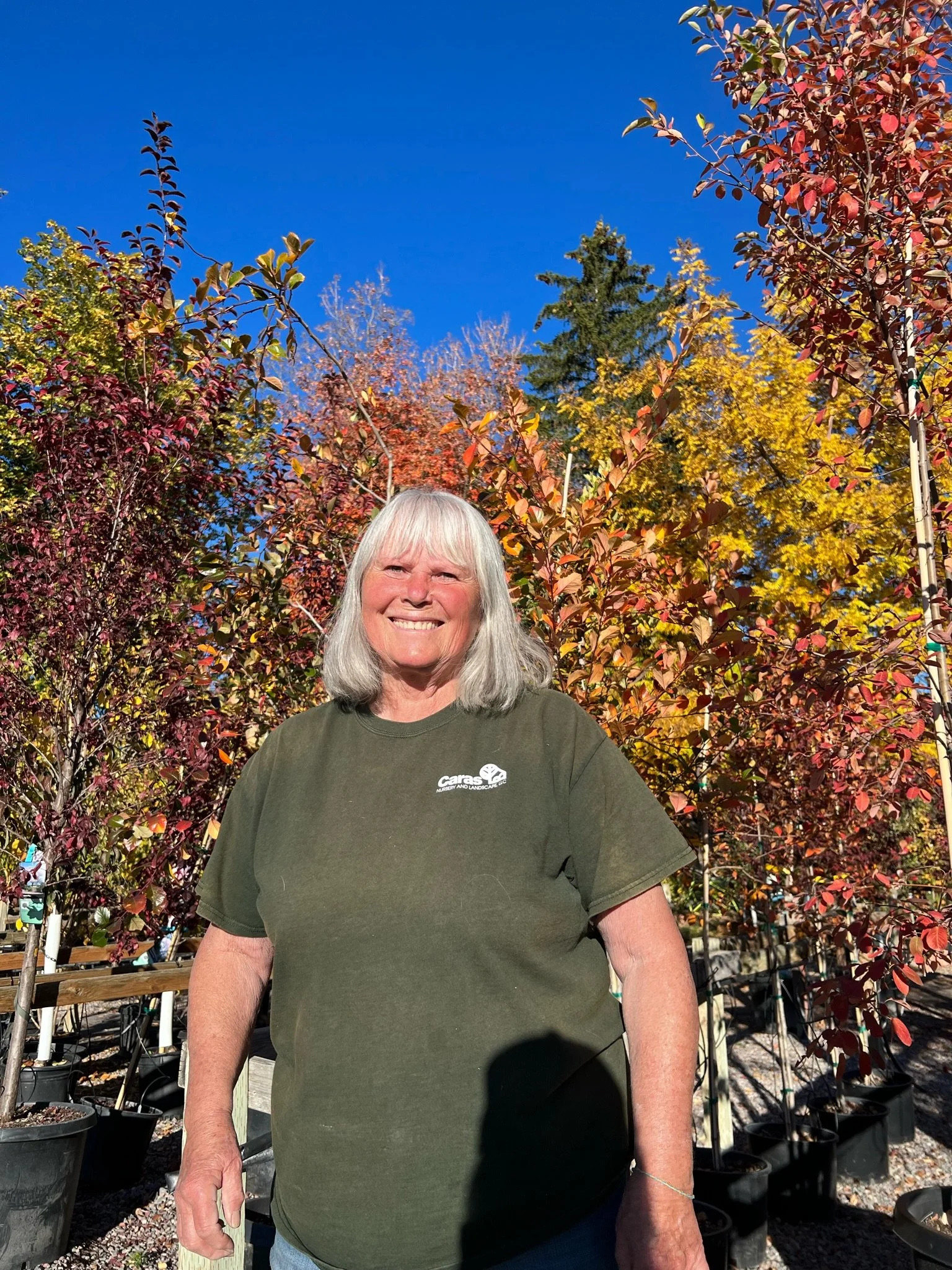 About — Caras Nursery