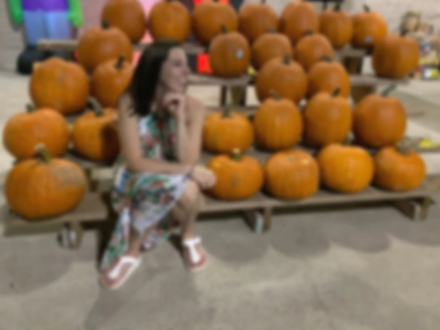 About — Chelsea Pumpkins