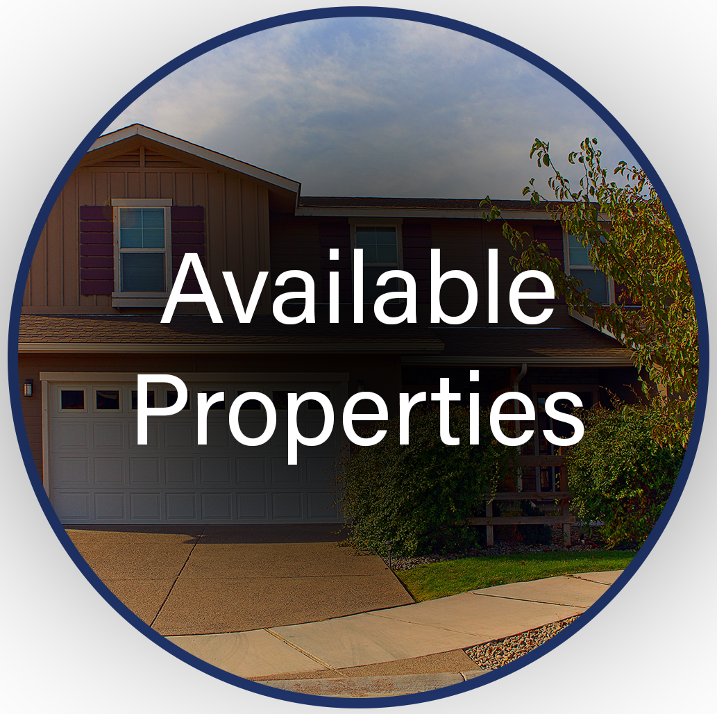 American Property Management