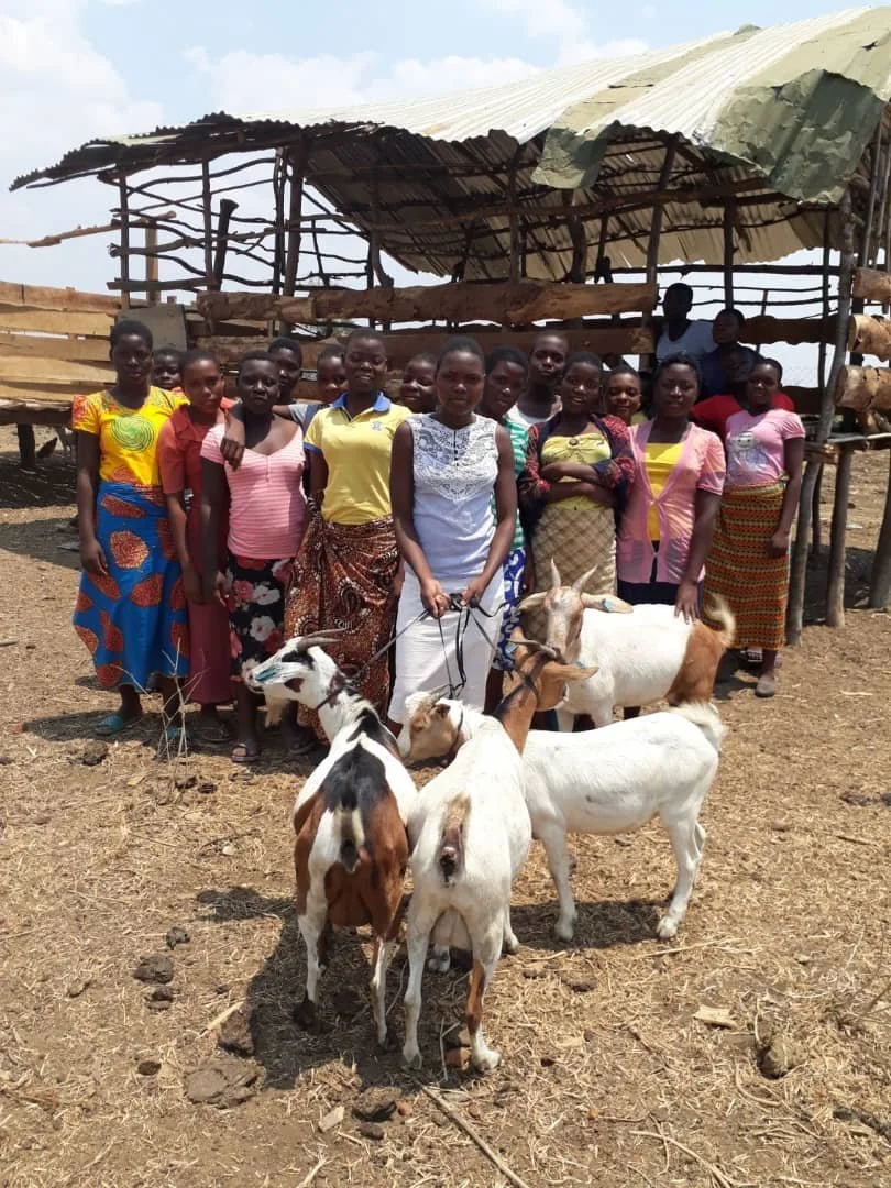 Programs — Agape Farmhands