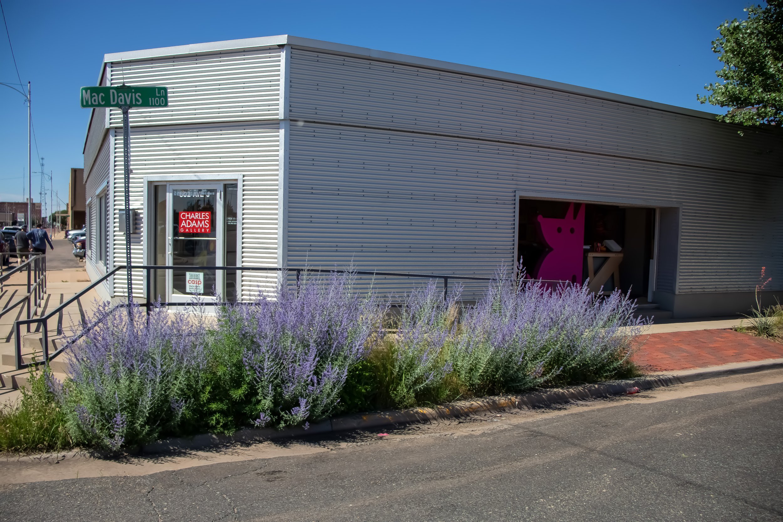 Charles Adams Gallery