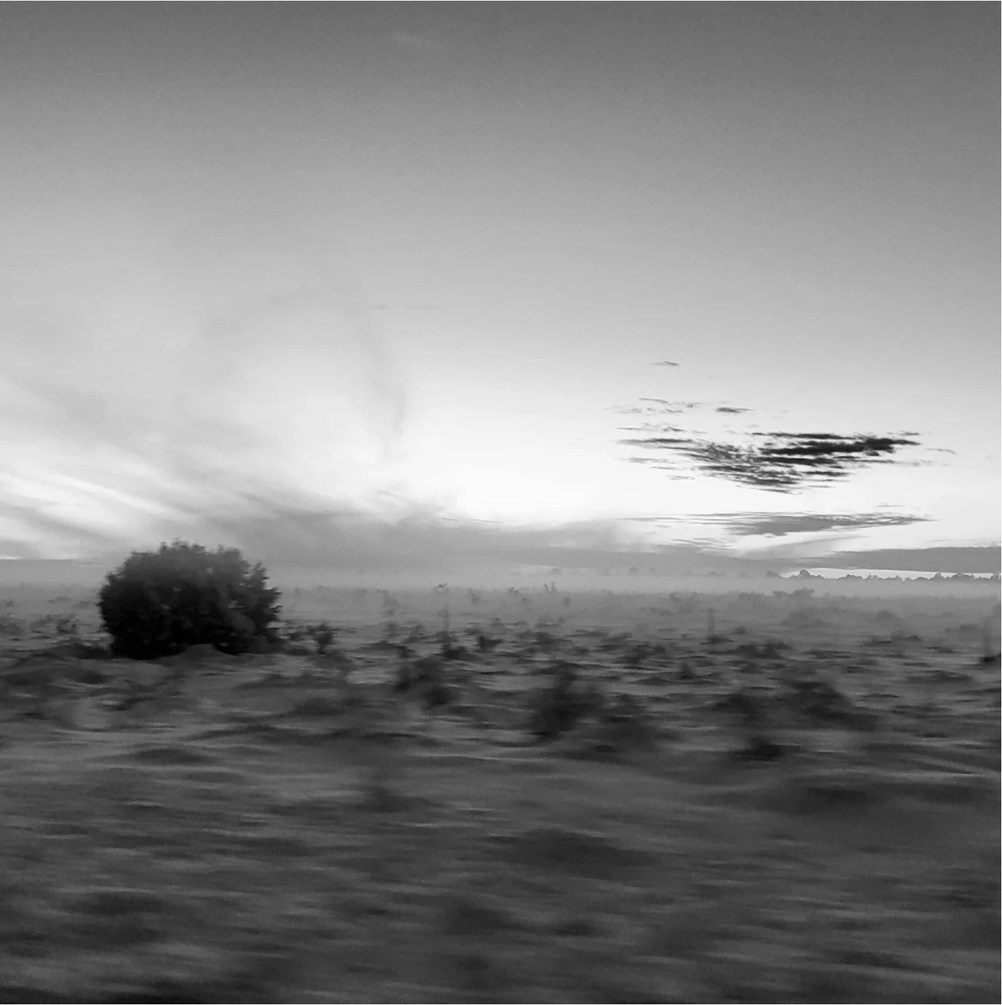 Artists — Charles Adams Gallery