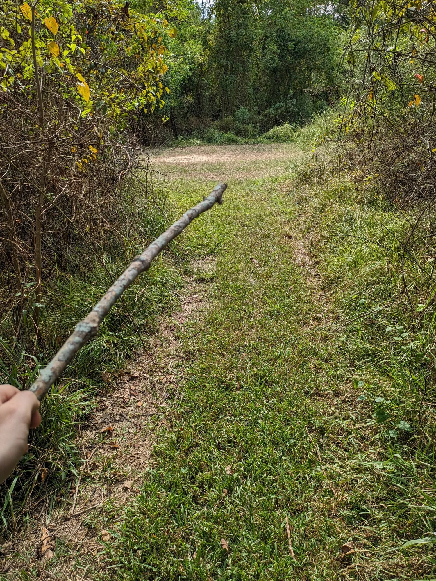 What Is A Spider Stick And Why You Might Need One on Your Next Hike ...