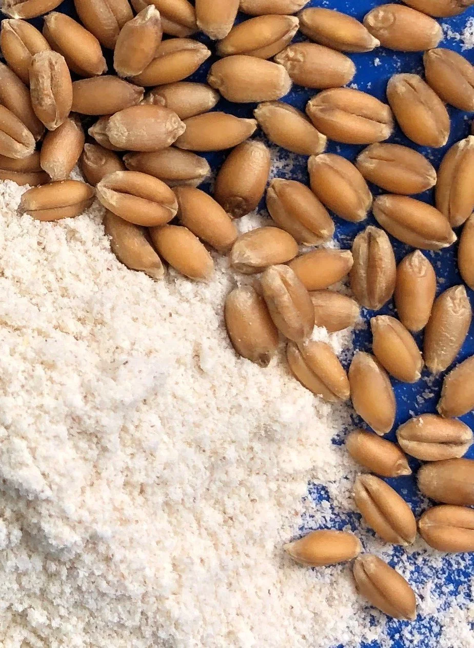 Organic Flour Products — Early Morning Harvest