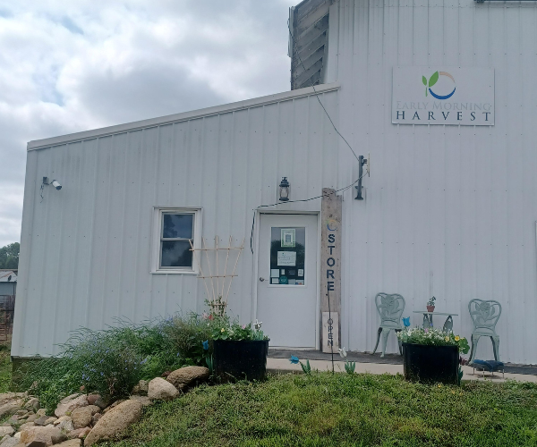 Farm Store — Early Morning Harvest