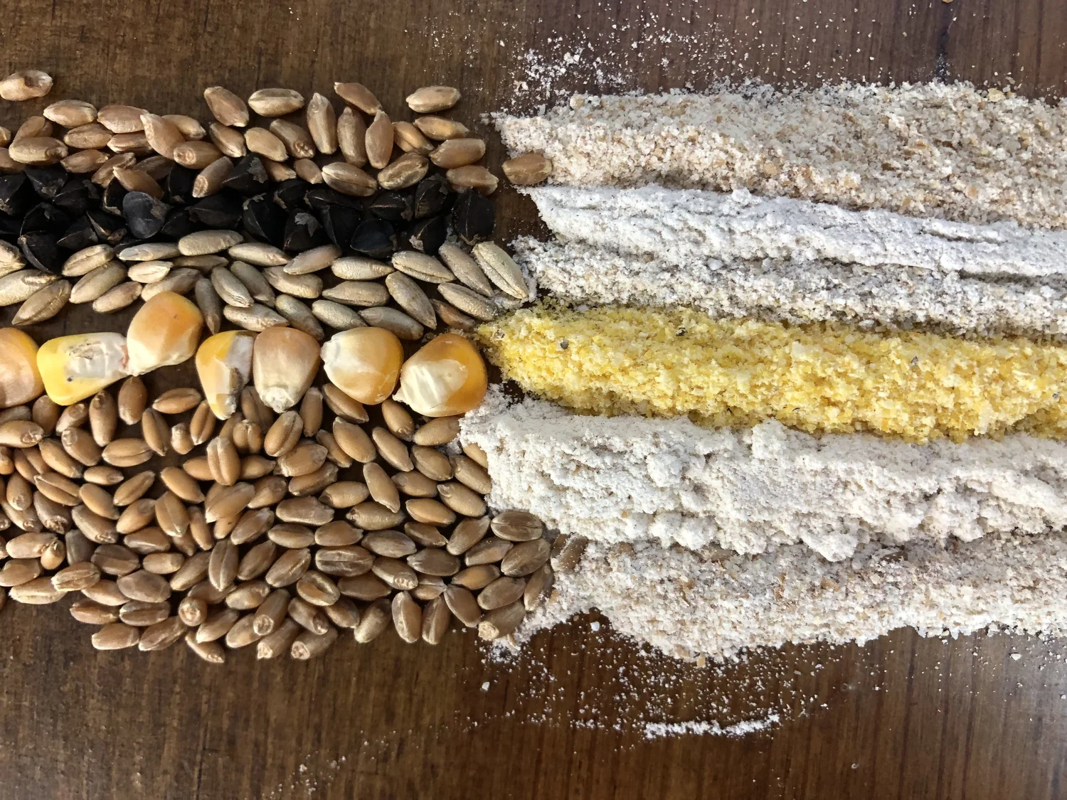 Local Organic Farm | Grains, Produce, Honey, Eggs & Sustainable ...