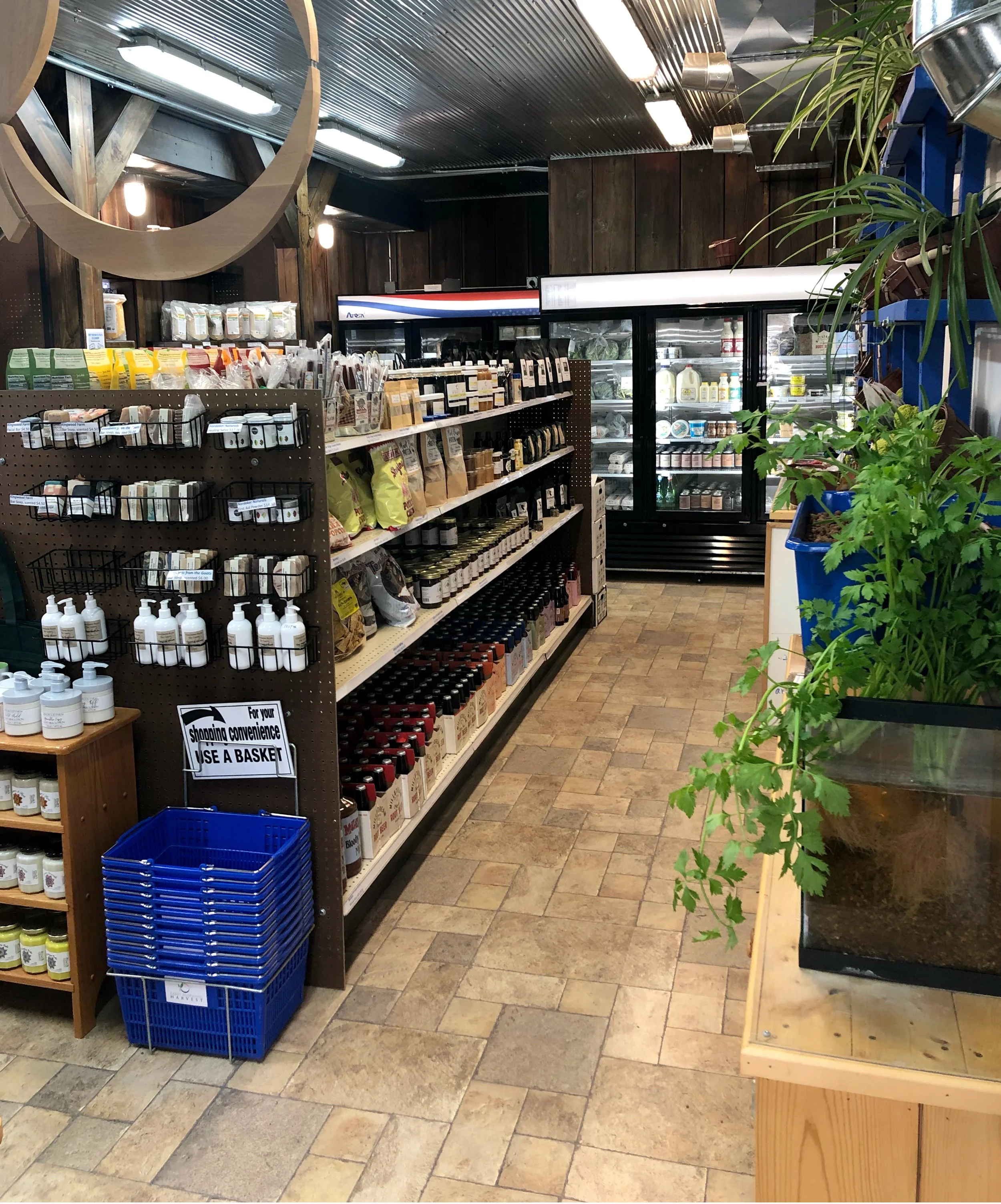 Farm Store — Early Morning Harvest