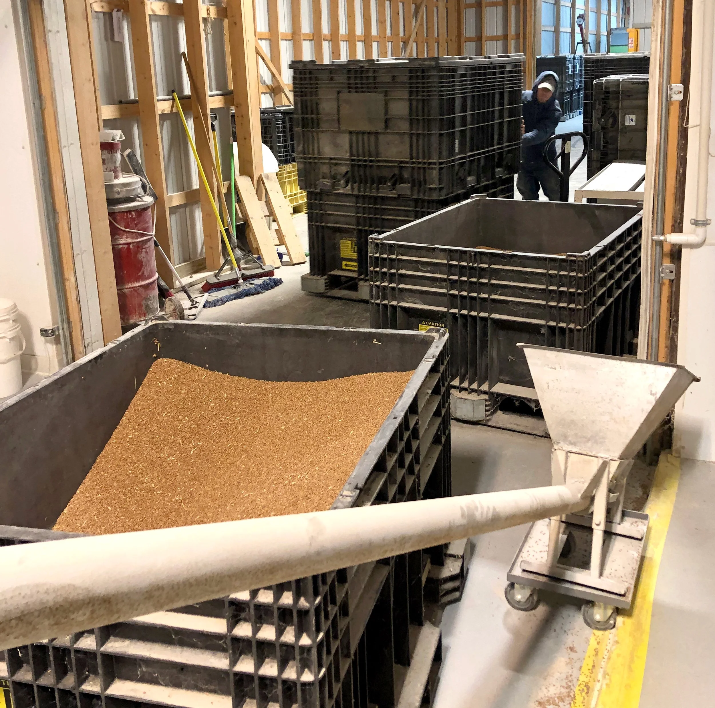 Milling Grain — Early Morning Harvest