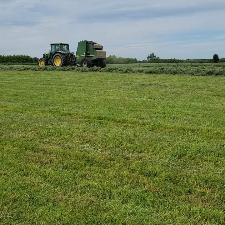 Shady Creek Farm | 100% Grass Fed Beef | Pasture Raised Pork & Lamb ...