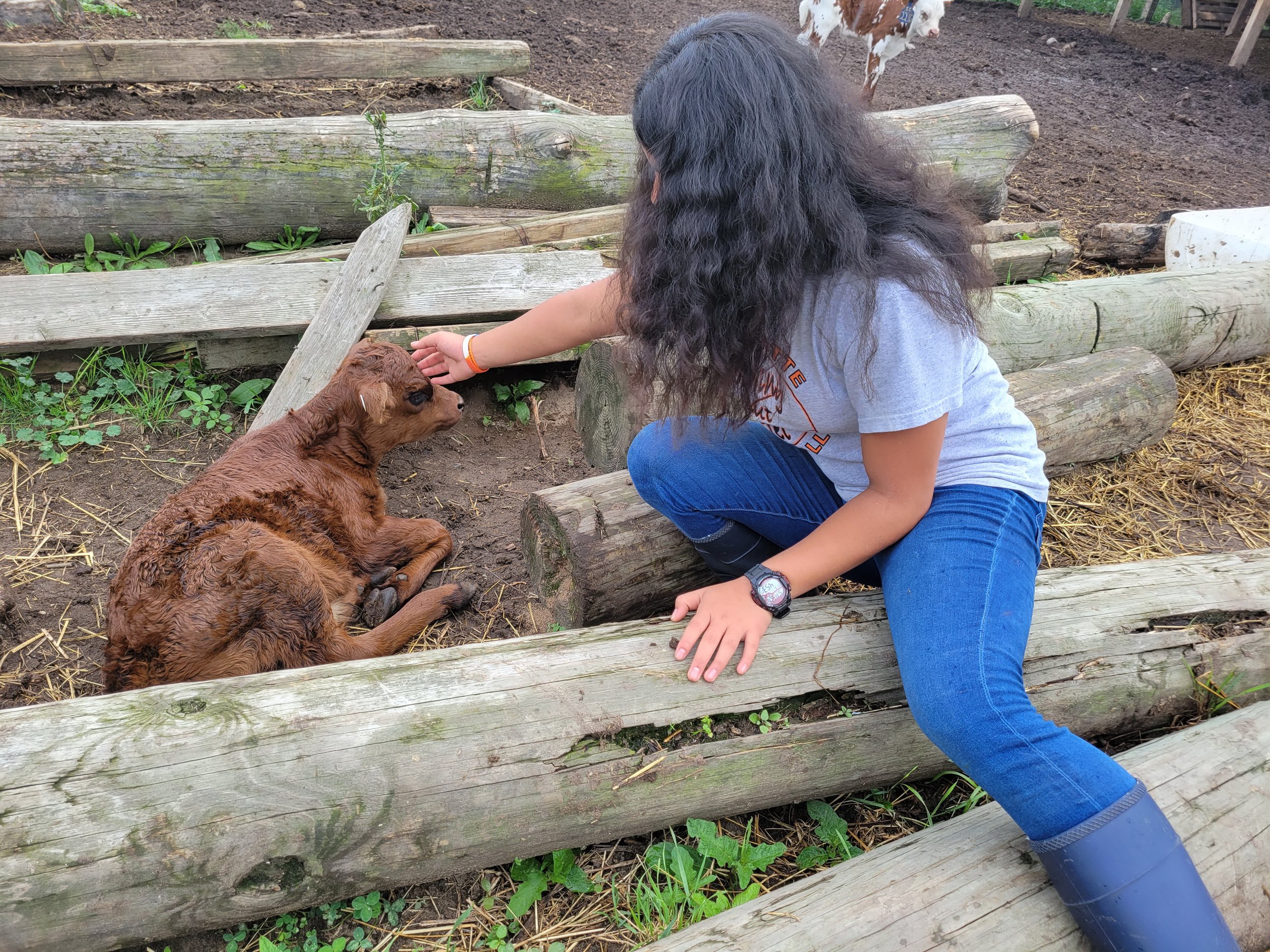 About — Shady Creek Farm