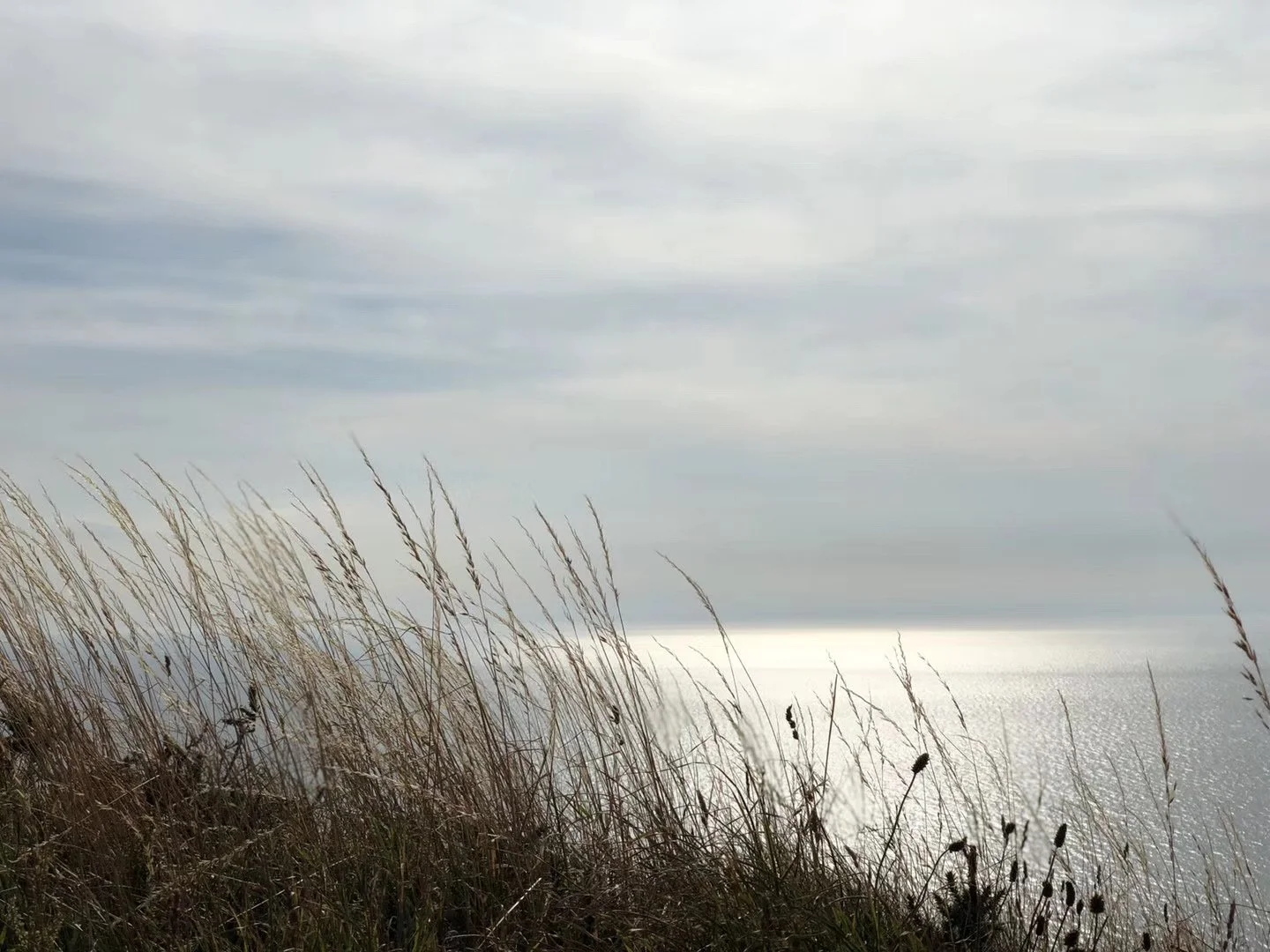 Works — Jingyu CHEN