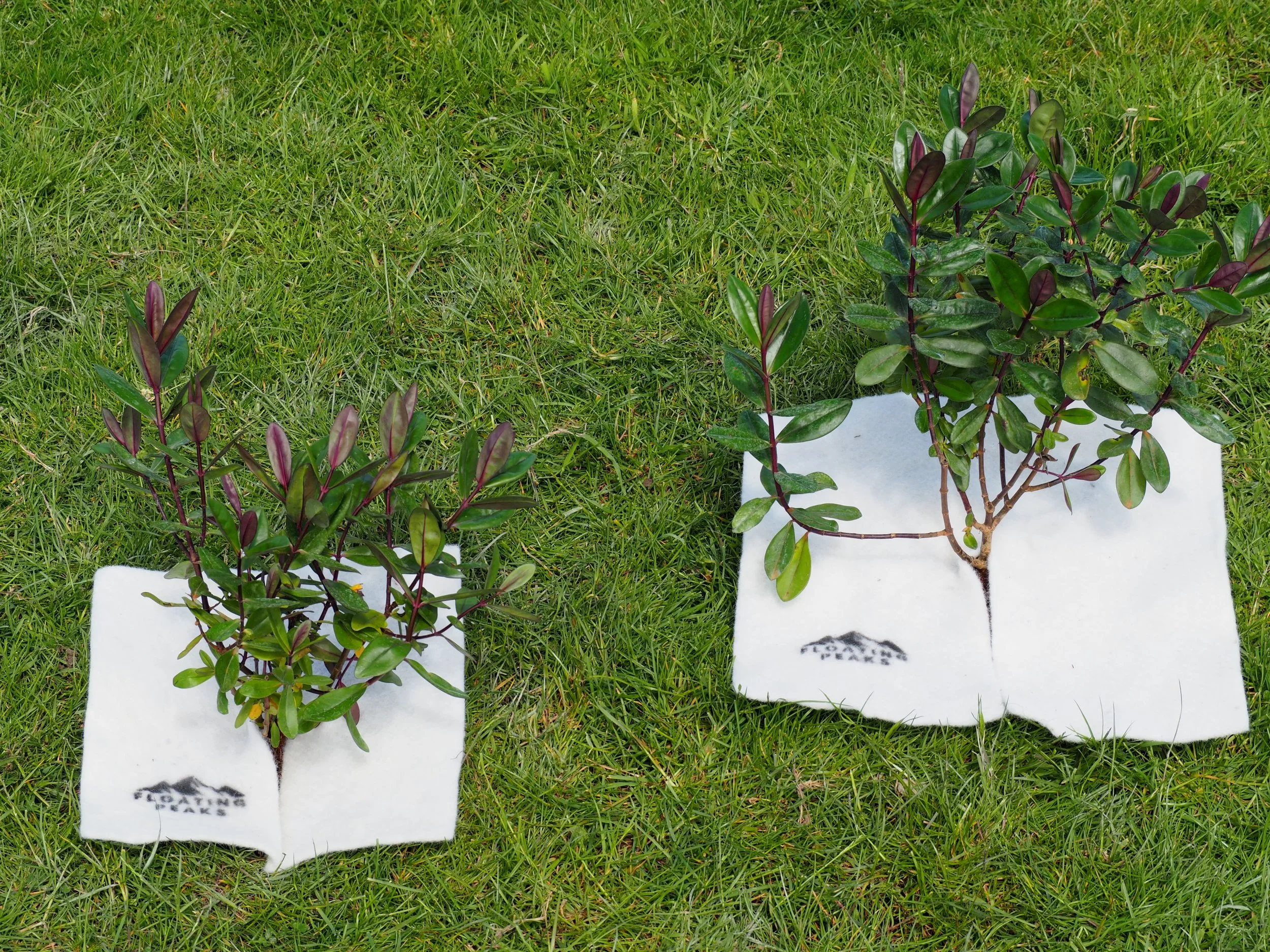 Floating Peaks - Wool Pot, Wool Weed Mat, Wool Seedbed - Shop