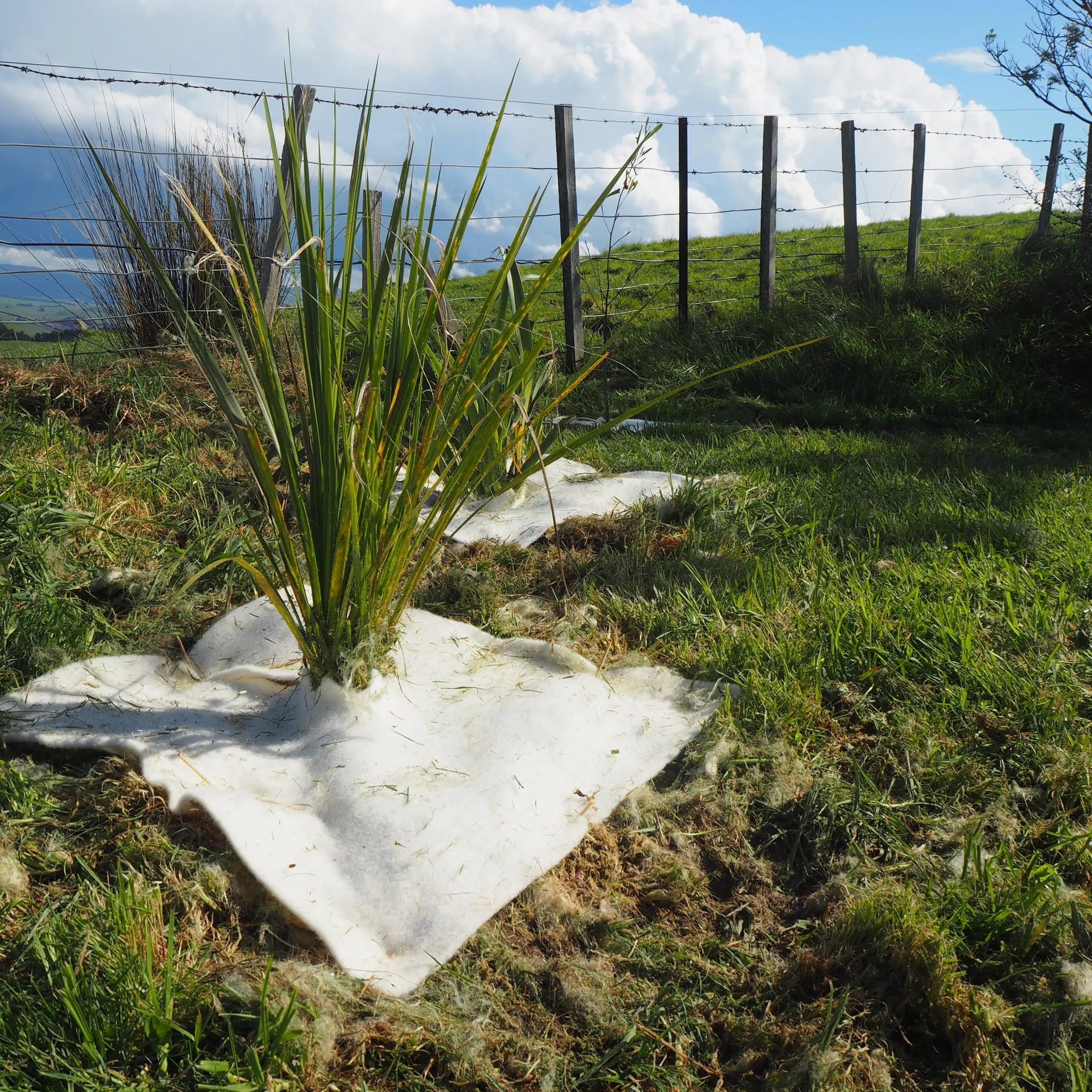 Our Story / Floating Peaks / Wool Pot, Wool Weed Mat, Wool Seed Bed