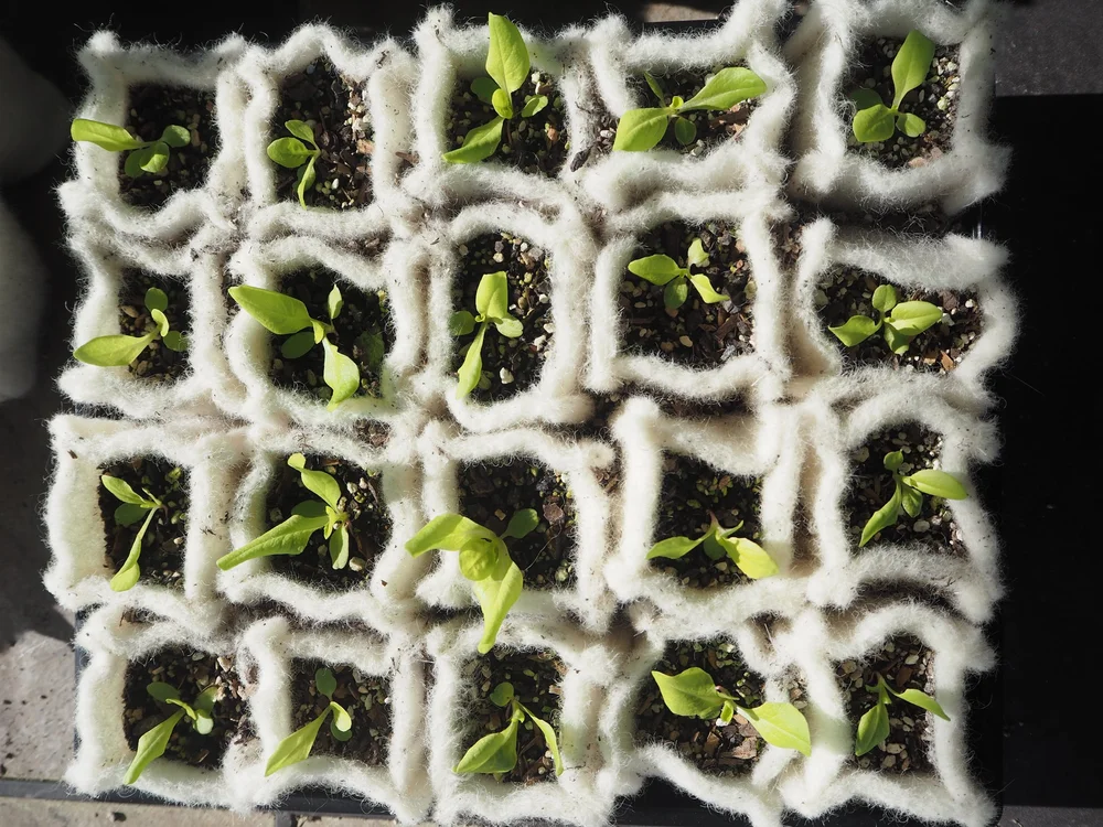 Floating Peaks / Wool Pot, Wool Weed Mat, Wool Seed Bed