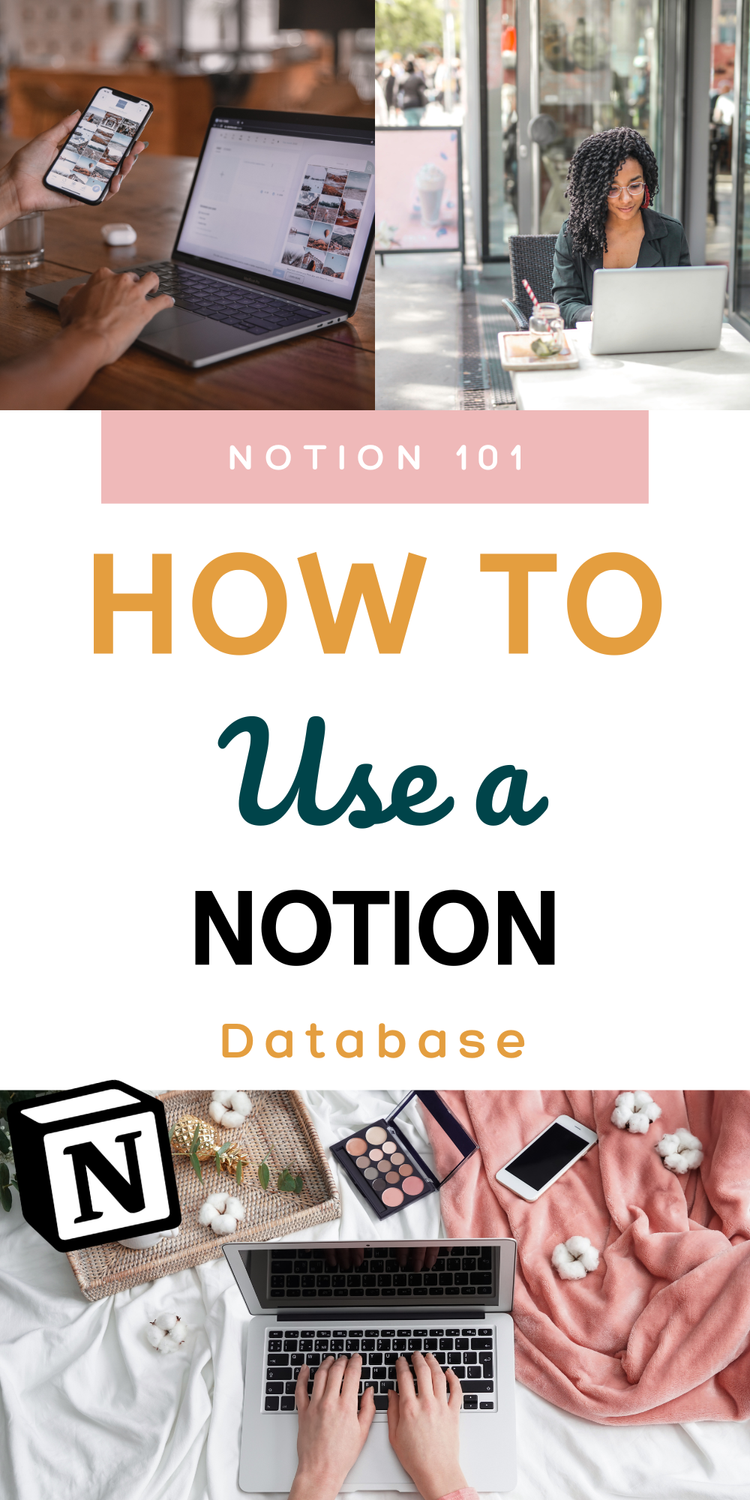 How to Use a Notion Database — jillianferraro.com