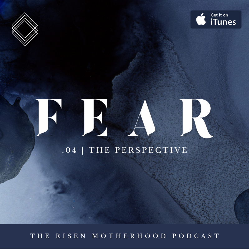 Fear Mini-Series — Risen Motherhood