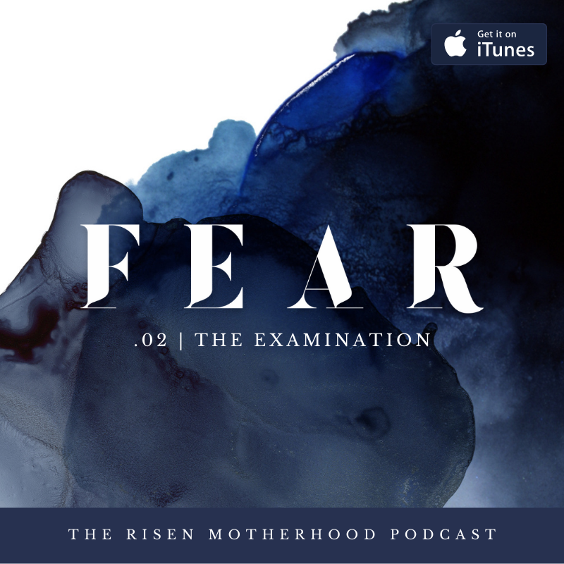 Fear Mini-Series — Risen Motherhood