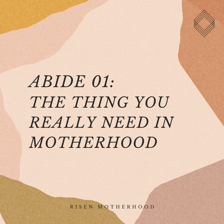 The Abide Method: Learn to Study the Bible — Risen Motherhood