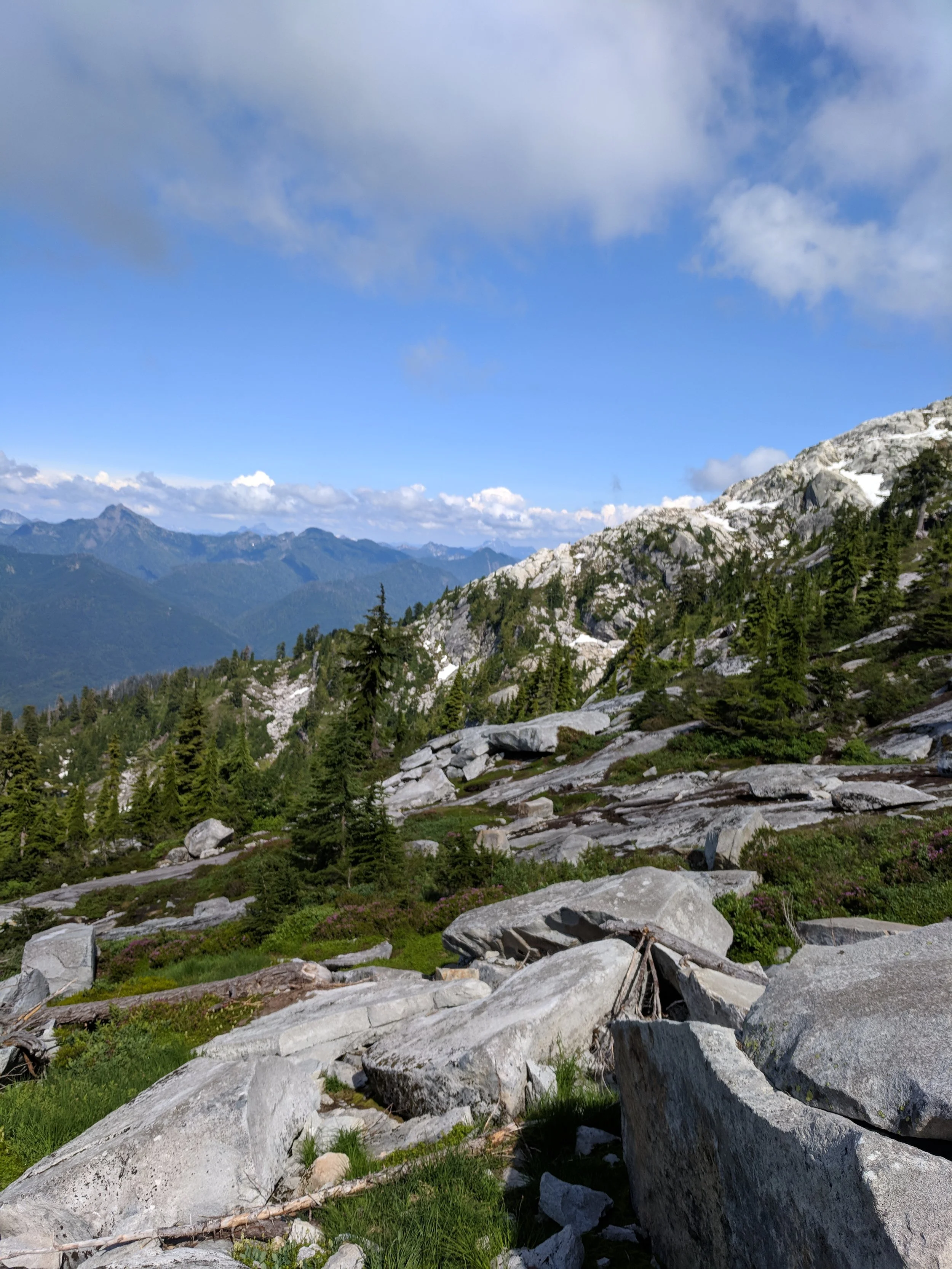 Seattle Estate Planning Services | Wills, Power of Attorney ...