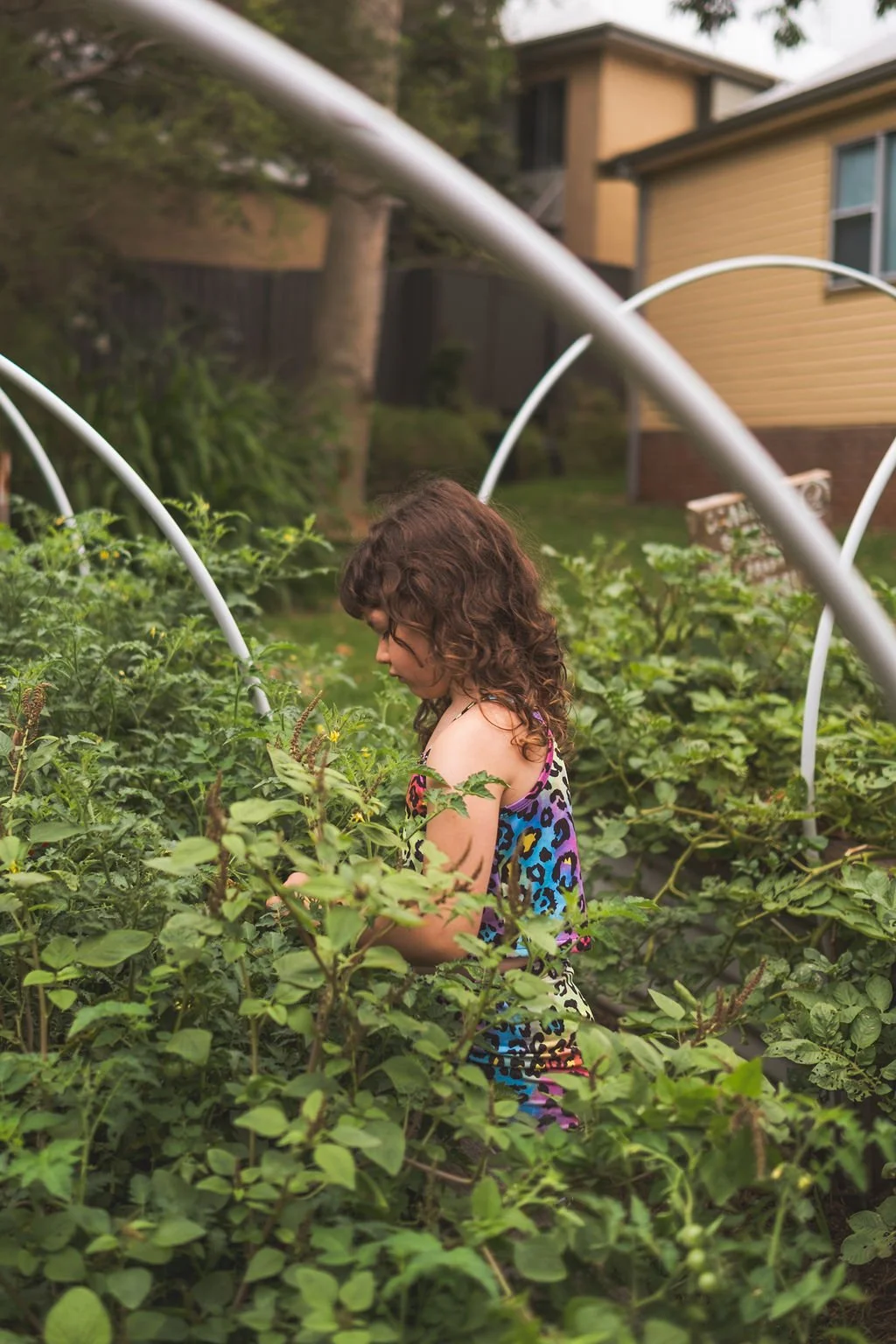 CUBS HUB — Cubs Hub Co