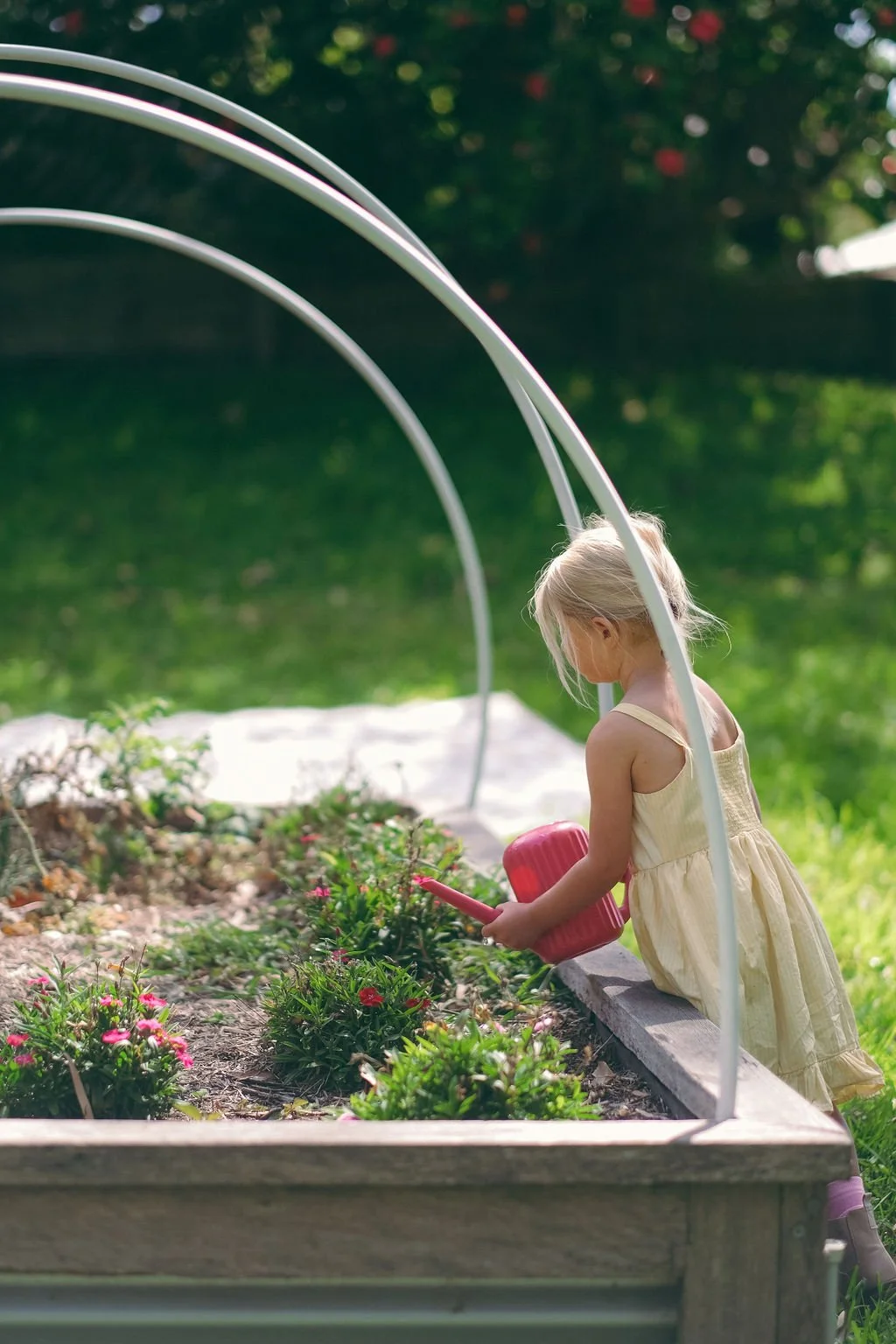 CUBS HUB — Cubs Hub Co