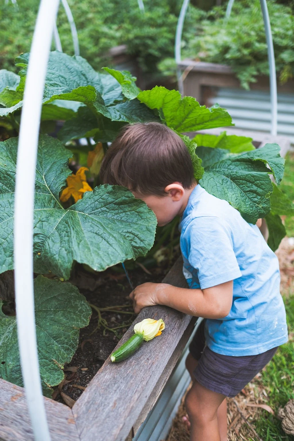 CUBS HUB — Cubs Hub Co