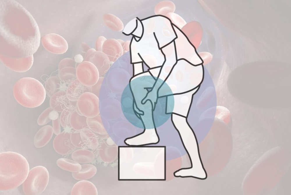 2022 — News | The Foundation to Advance Vascular Cures