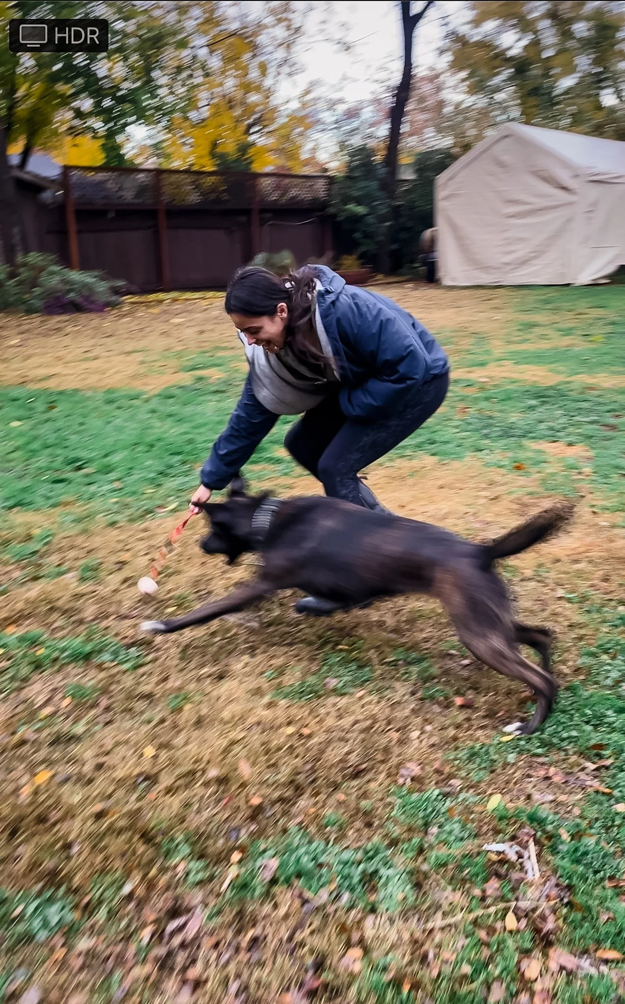 About Sacramento Dog Trainer Aligned Canine Training - Obedience, Behavioral Modification, and ...