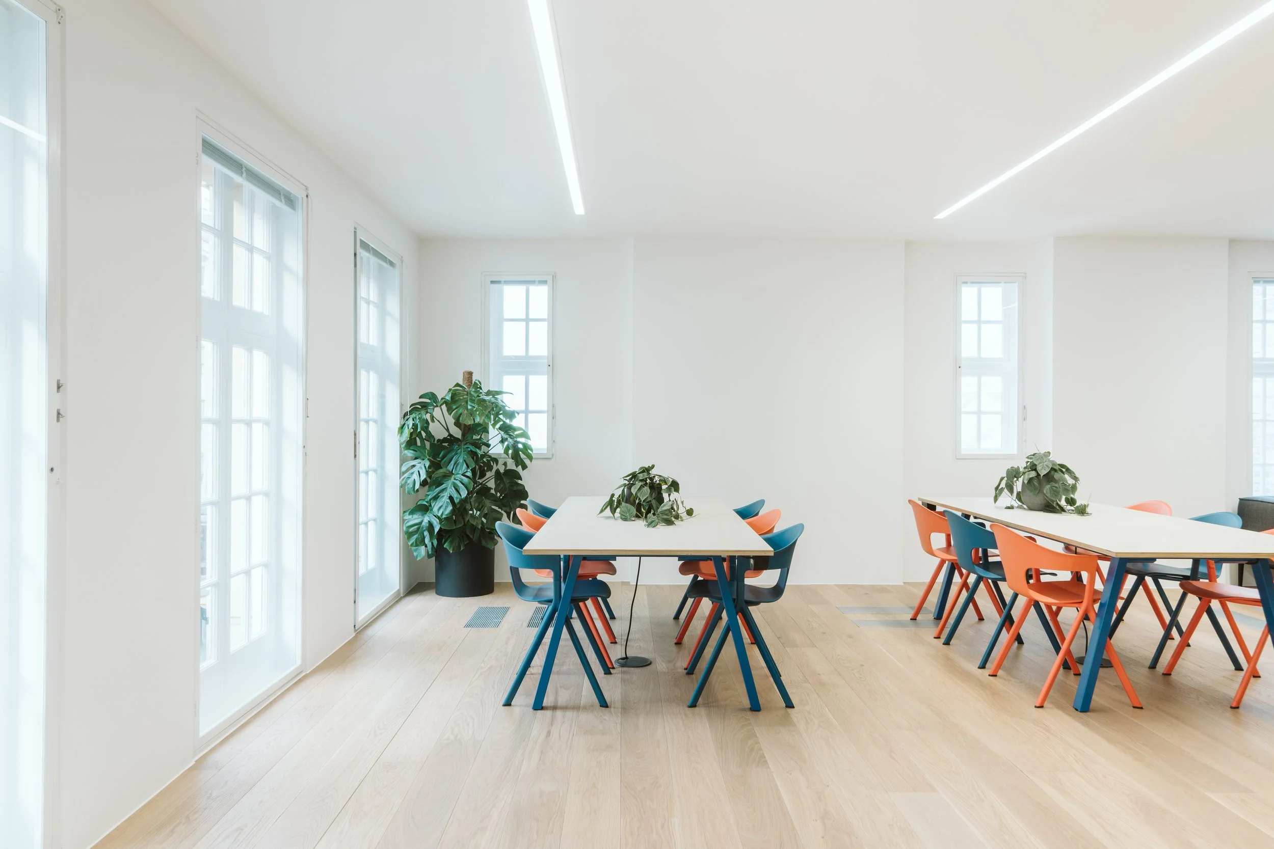 PROJECTS — MFive Consulting Workplace Project Management & Consulting