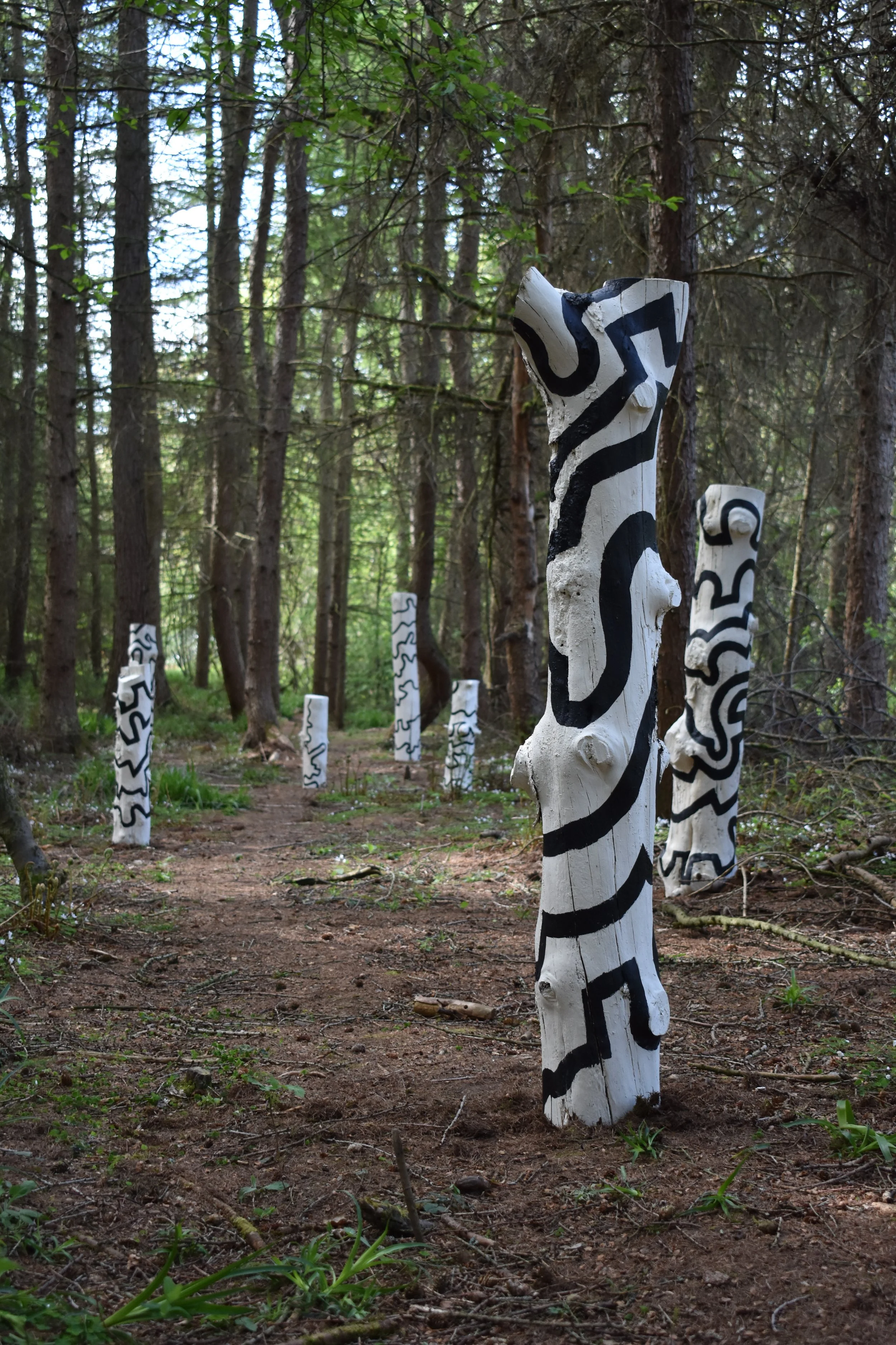 Past Projects — Henry McAlpine