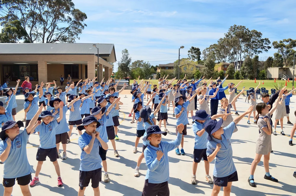 Dance — Zing Activ