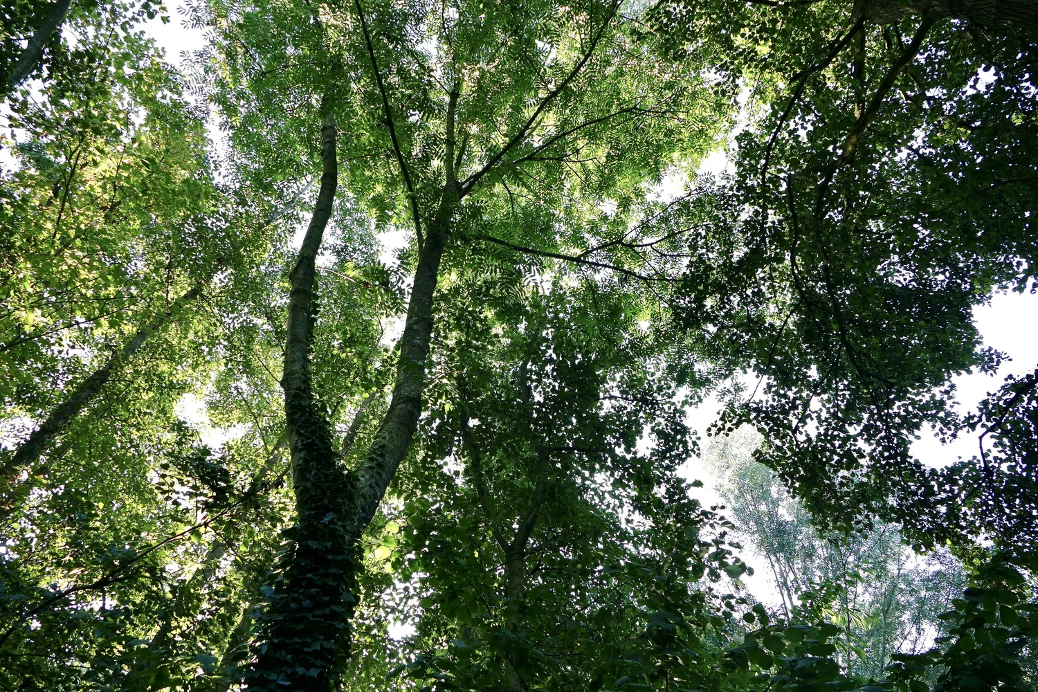 The last days of summer — Atelier Nausika