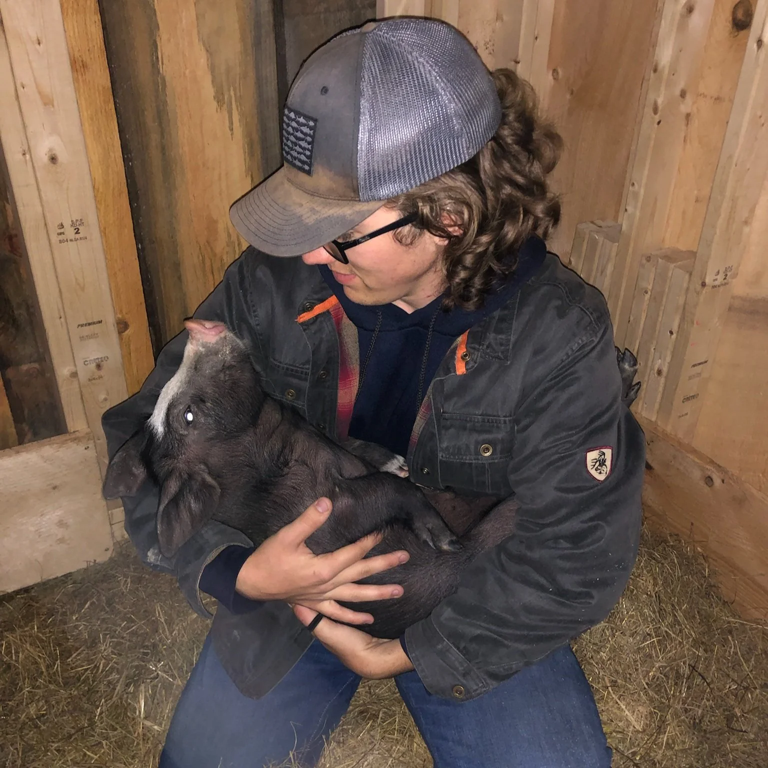 Udder Hand Farm | Naturally Raised Pork | Sand Lake, NY