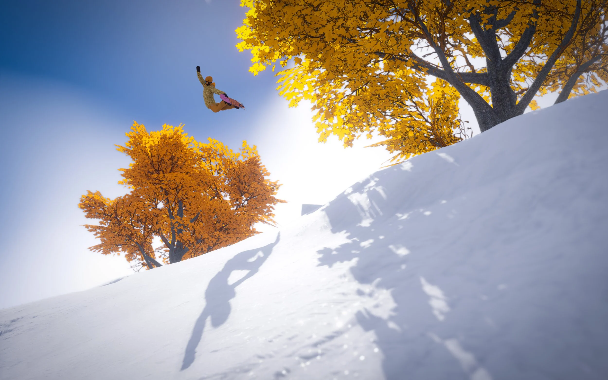 SHOT IN SHREDDERS — I-Illusions