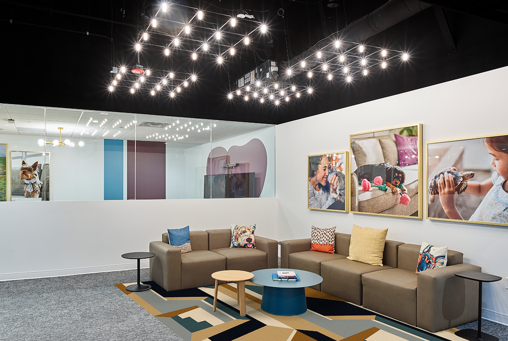 Chewy HQ — FitzGerald