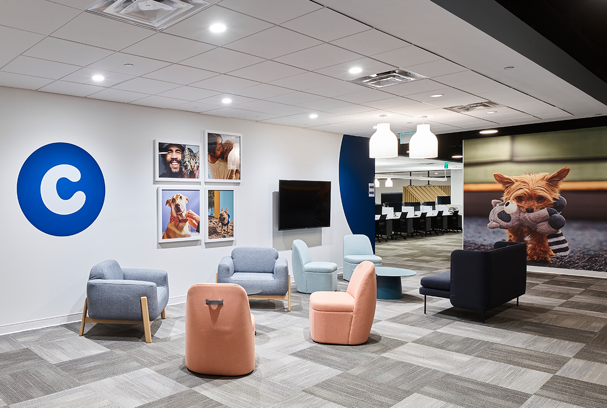 Chewy HQ — FitzGerald