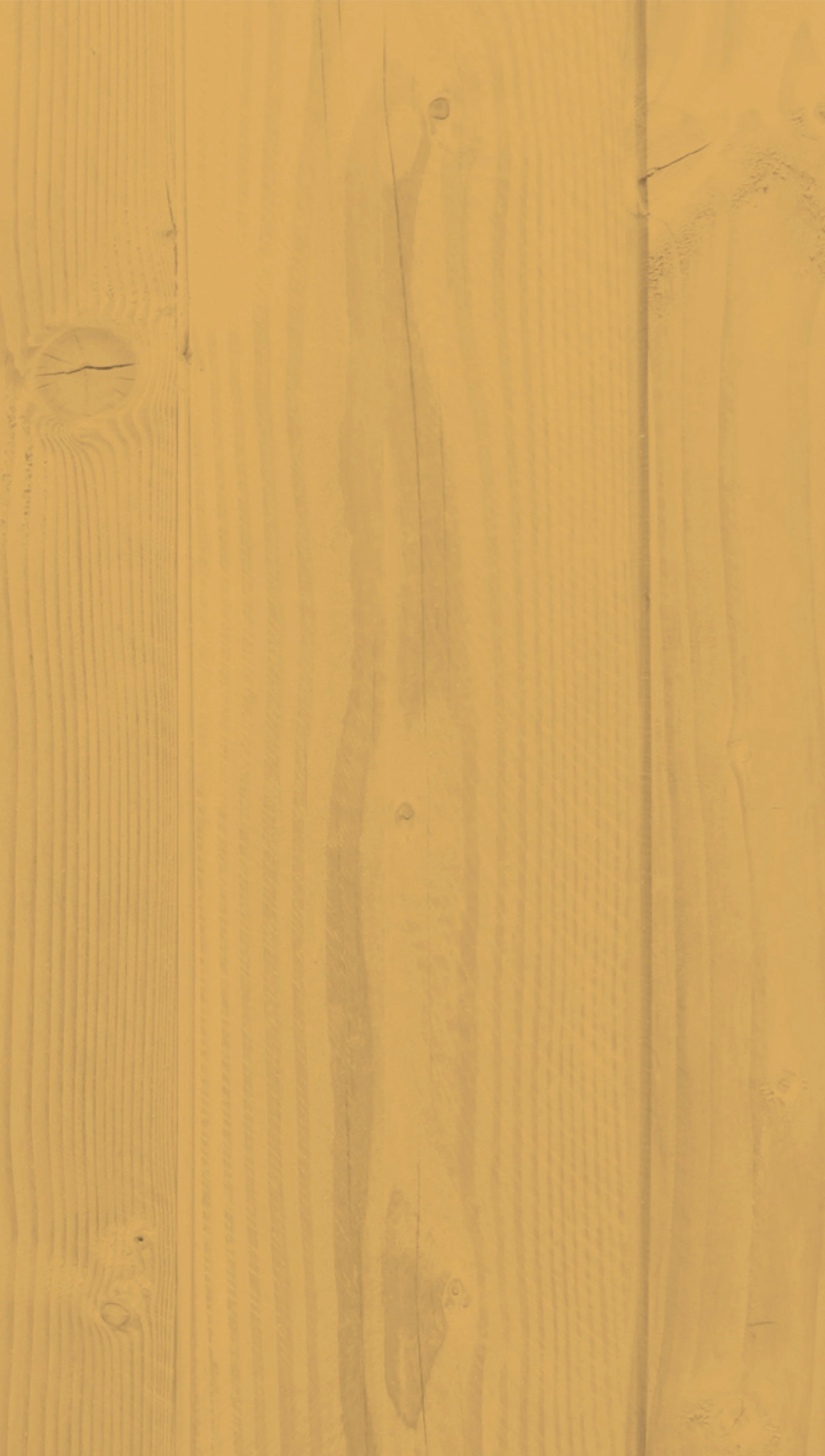 Food — Lucky's 13 Pub