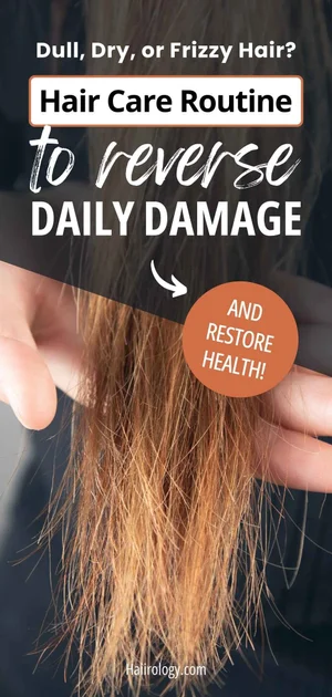 How to Prevent and Repair Daily Hair Damage: A Stylist’s Guide — Haiirology