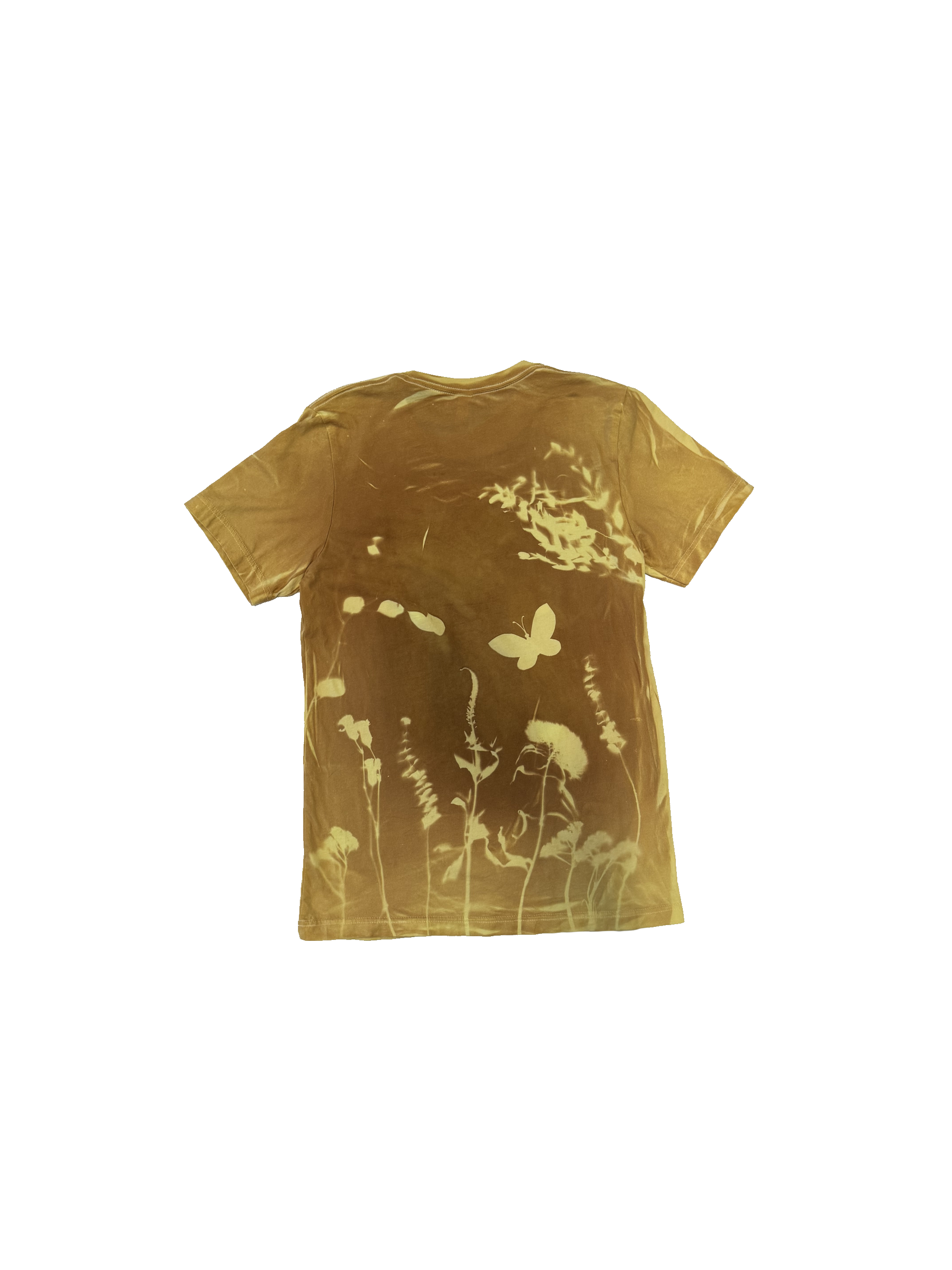 Store — Reagan Flora