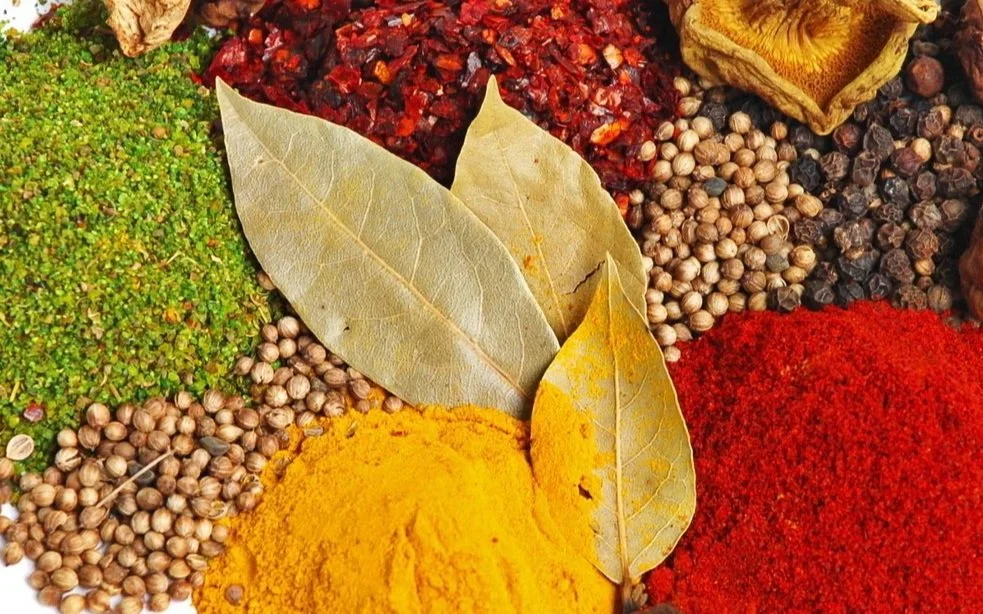 Nutcase Vegan -“Mind-blowing flavor that happens to be Vegan!”