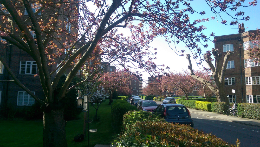 Penthouses - Latest News — Chiswick Village Residents Ltd. — Chiswick ...