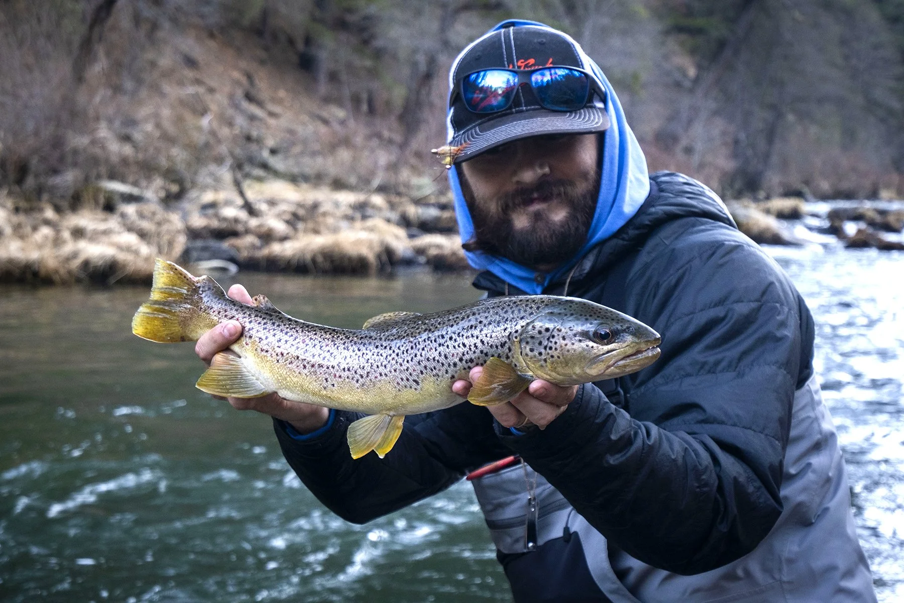 Lake Almanor, Lake Davis, Frenchman Lake Fishing Report — Lost Sierra ...