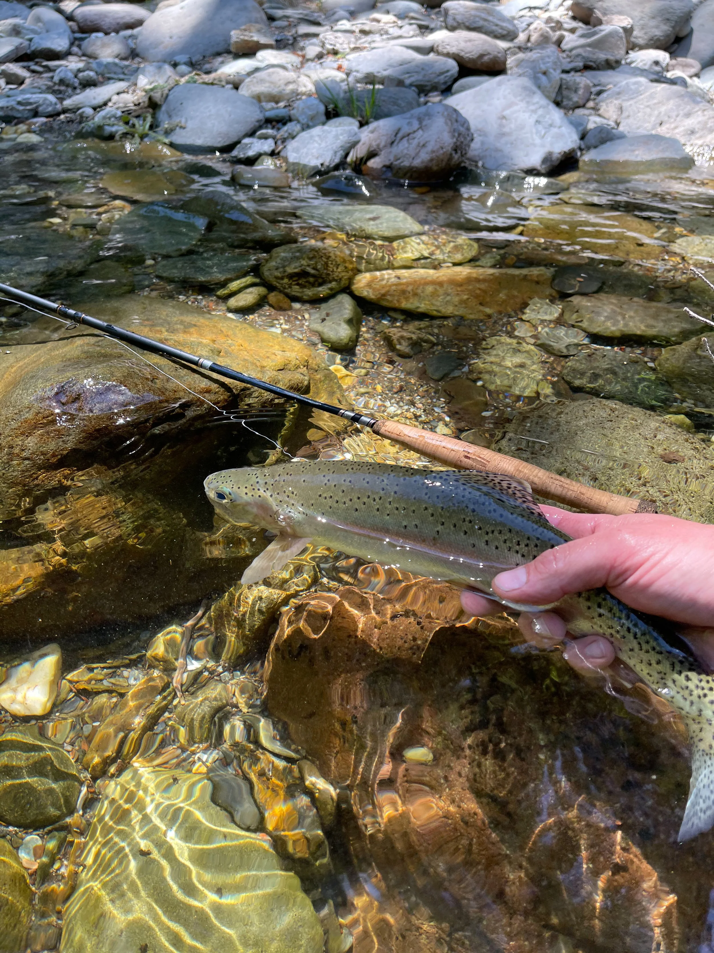 North Yuba River Fishing - The North Fork Yuba River — Lost Sierra Fly ...