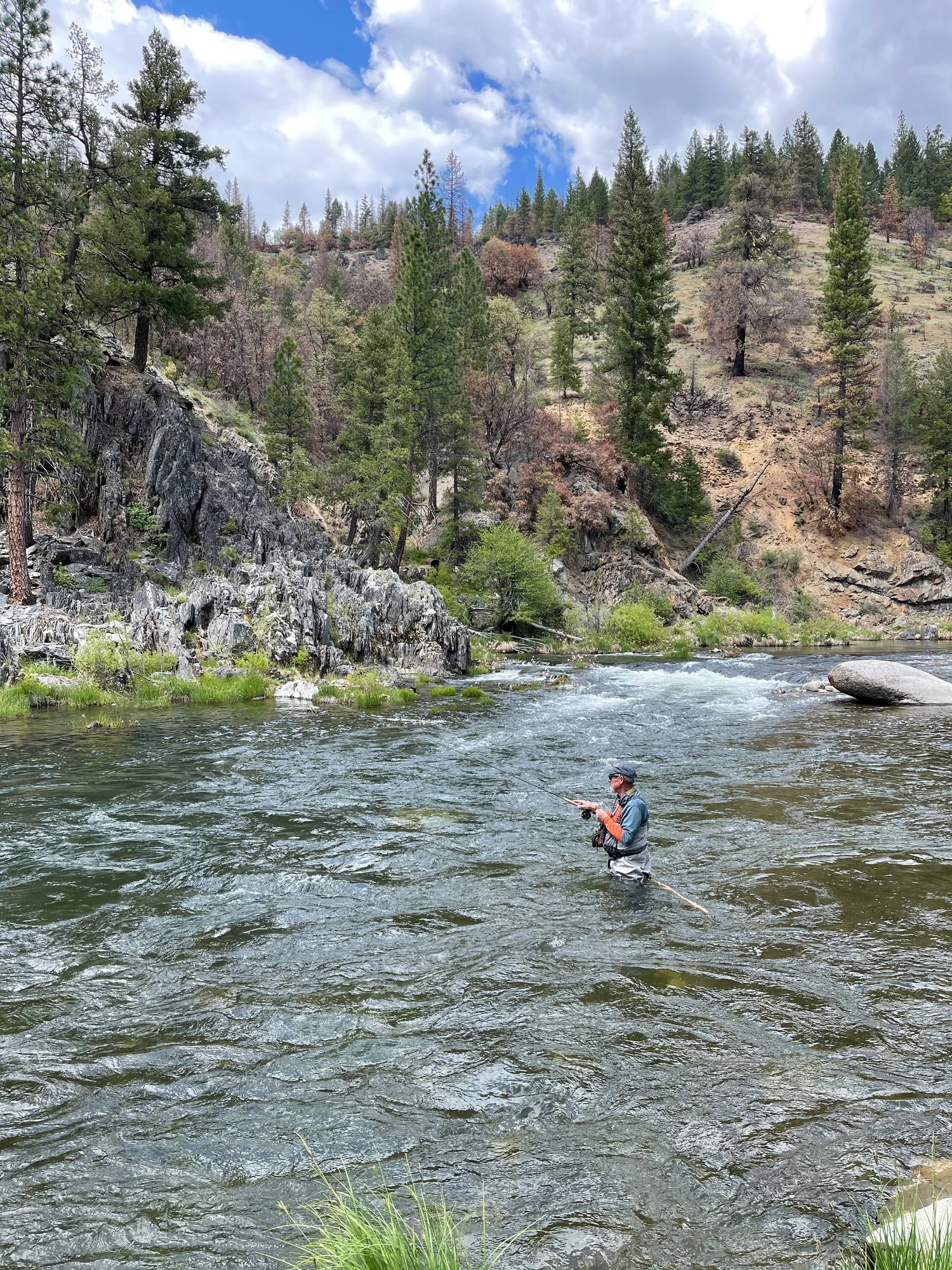 Middle Fork Feather River Fly Fishing — Lost Sierra Fly Guide