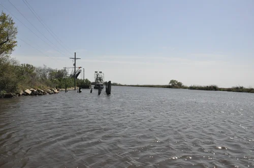 Delacroix Island — Film St. Bernard